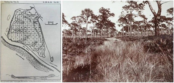 Pre-Contact Florida – Exploring Florida Cultural Legacies