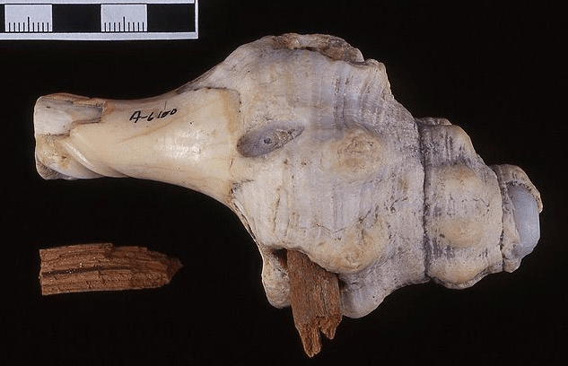 Pre-Contact Florida – Exploring Florida Cultural Legacies